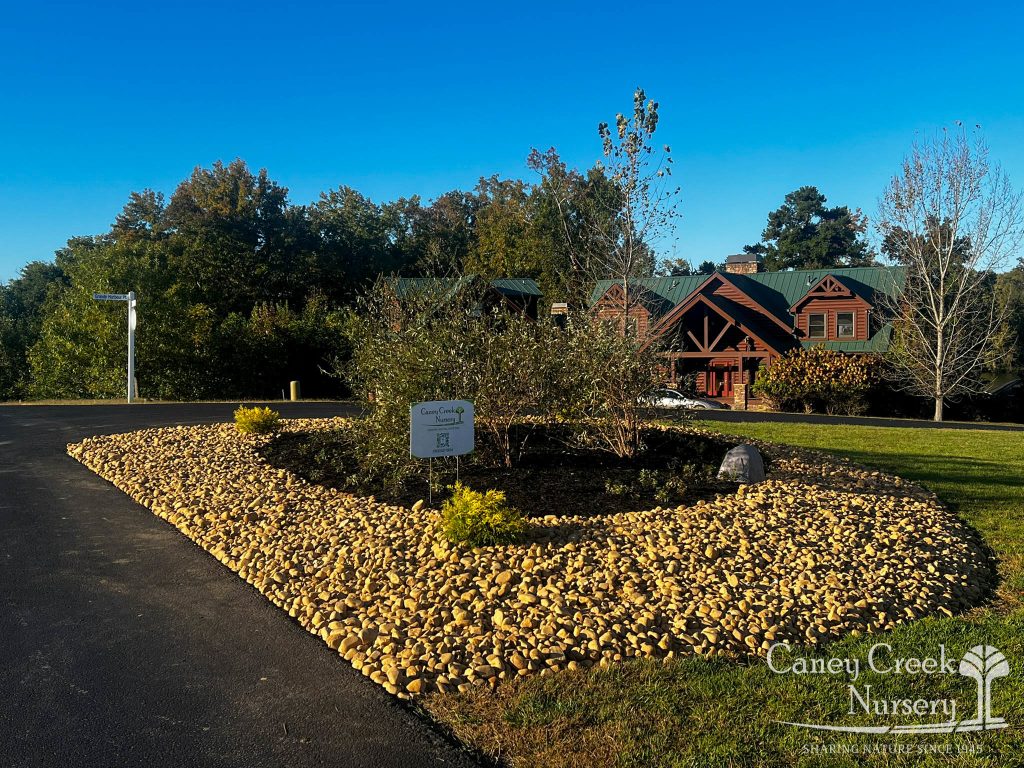 Custom Rock Bed with Plant Design - Caney Creek Nursery
