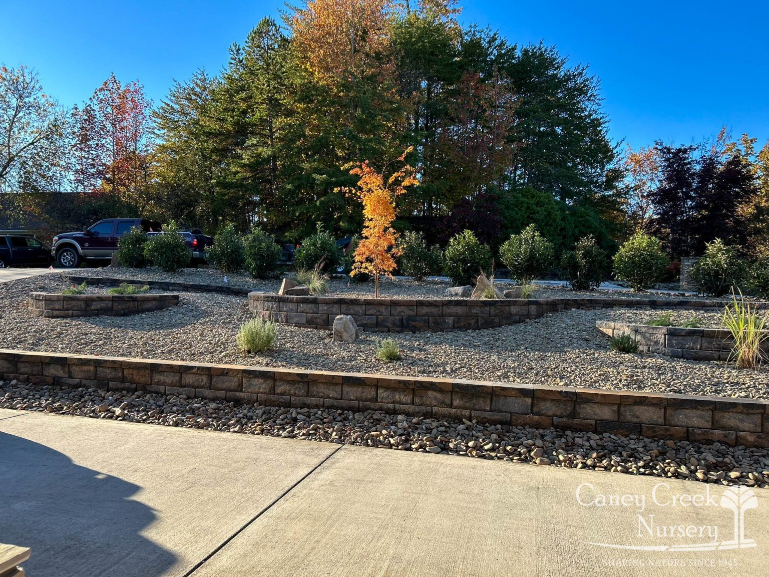 Front Yard Landscape & Hardscape Design - Caney Creek Nursery